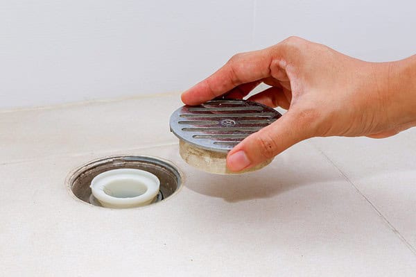 How to Get Rid of Fruit Flies Overnight