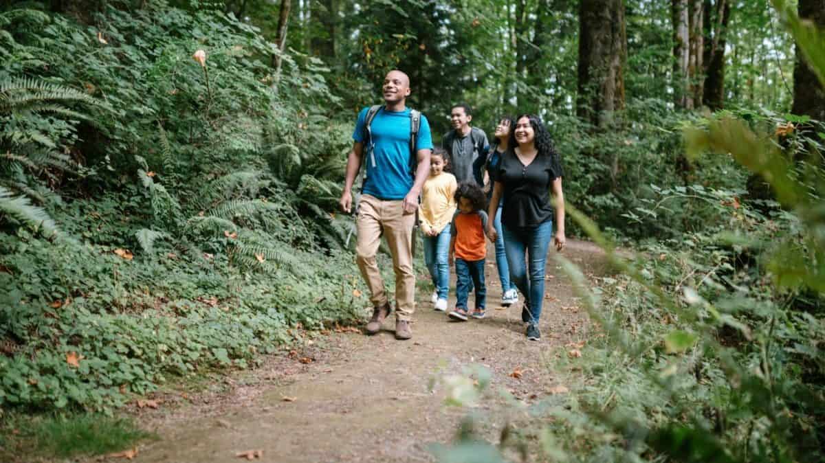From Crafts to Camping: How to Plan a Screen-Free Family Weekend (That ...