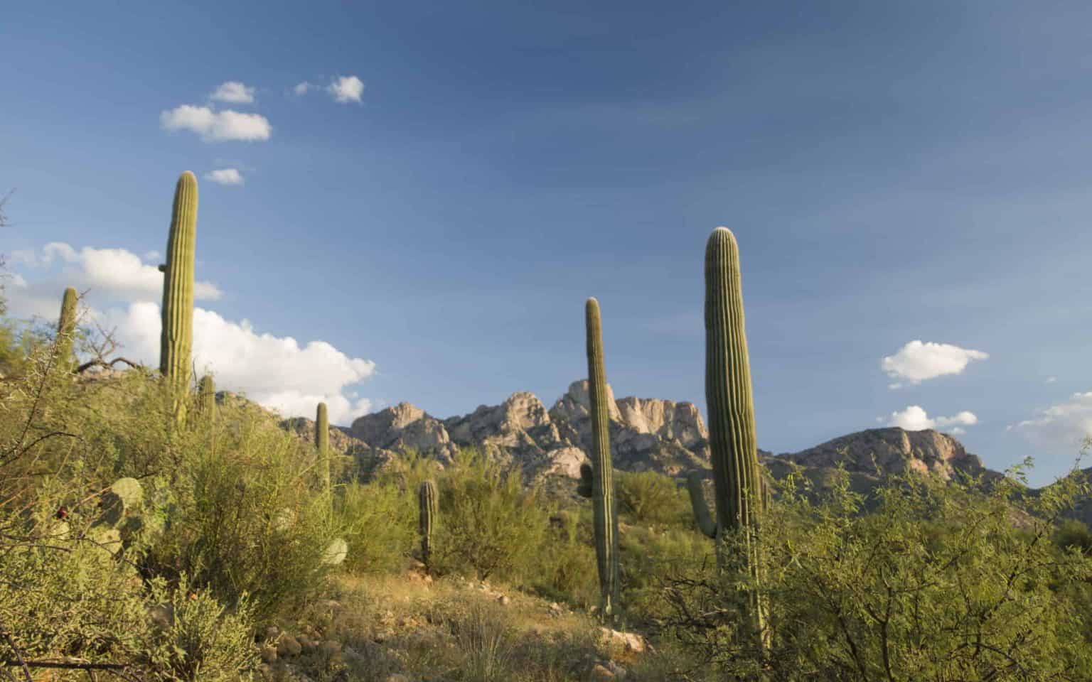 The Top-Rated Small Towns to Visit in Every State