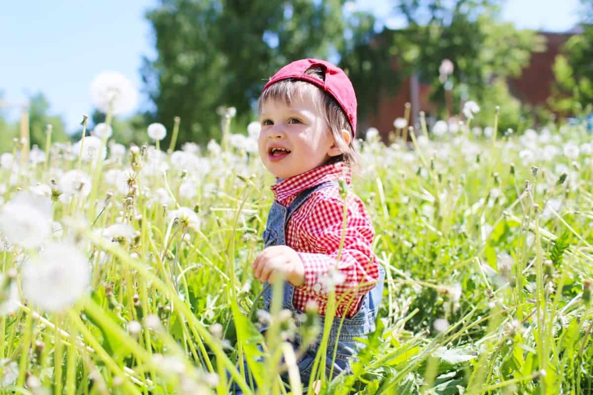 Top 50 Baby Boy Names Over the Past 100 Years