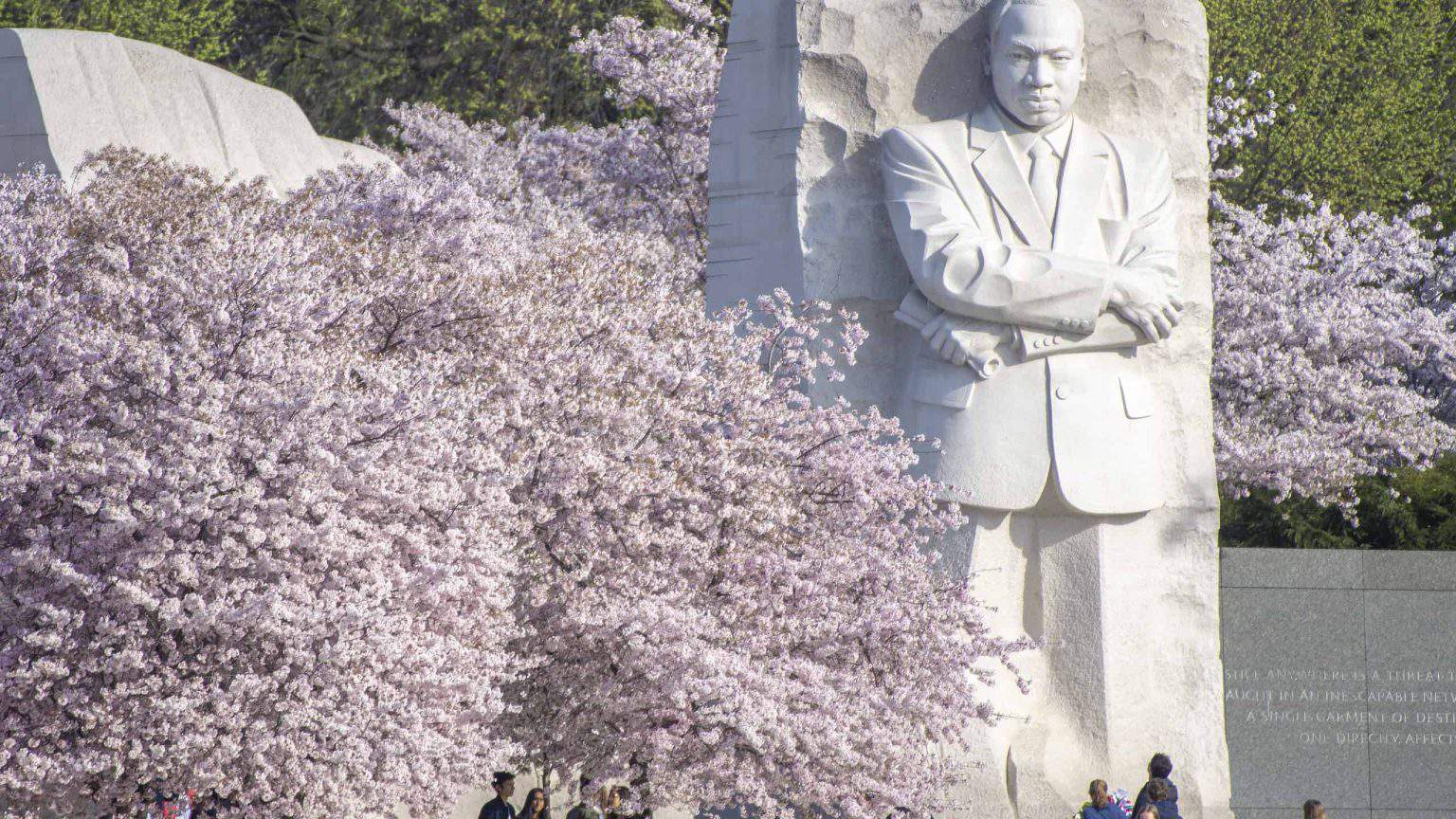 The Average American Can't Name These Historical Figures