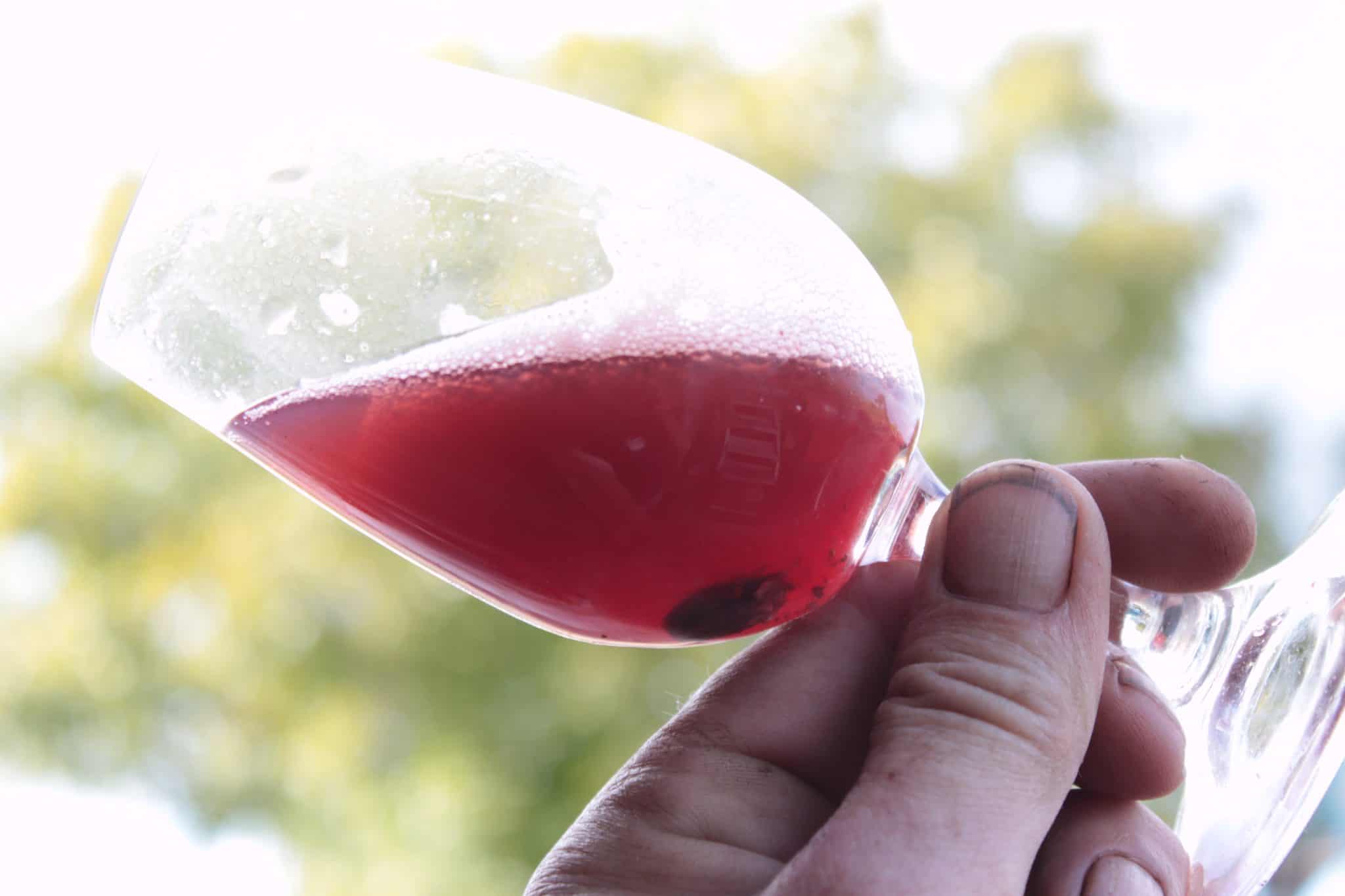 I Used to Only Drink Cabernet Sauvignon, But These 12 Red Wines Are Better
