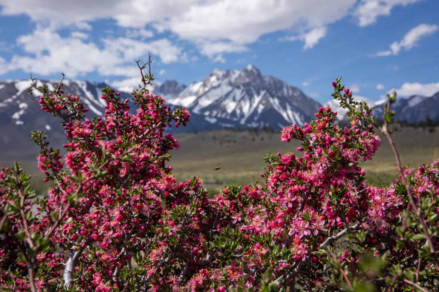 5 Underrated Family Destinations That are Perfect for Spring Break