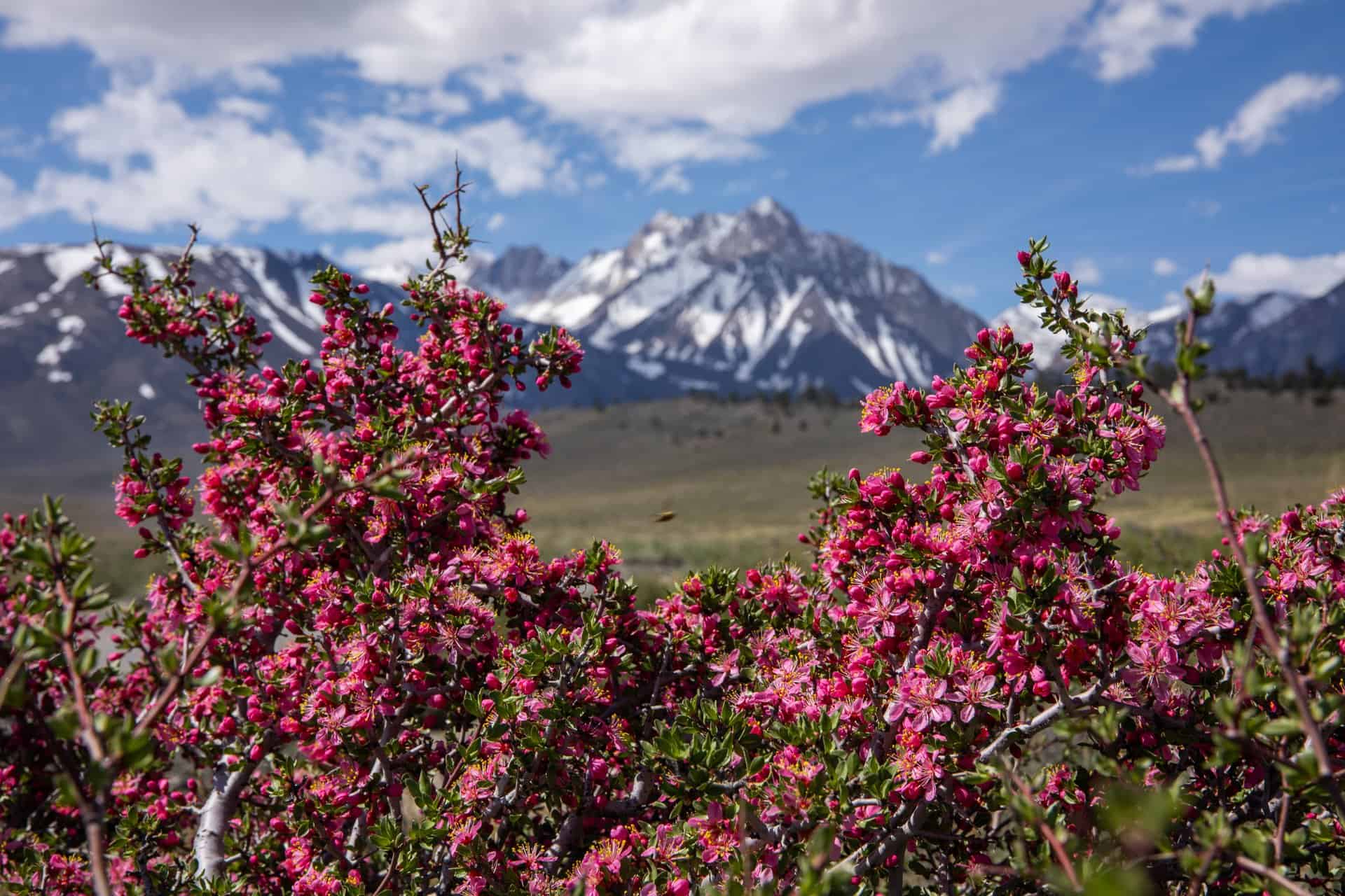 5 Underrated Family Destinations That are Perfect for Spring Break