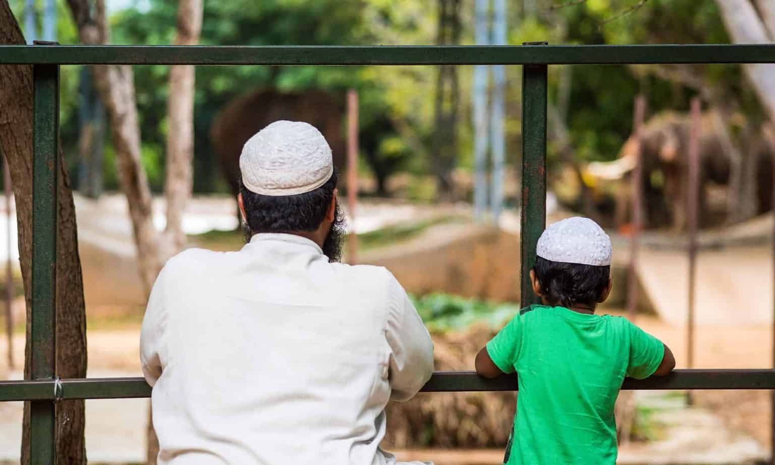 The 15 Best Budget-Friendly Ideas for Grandparent-Grandkid Outings