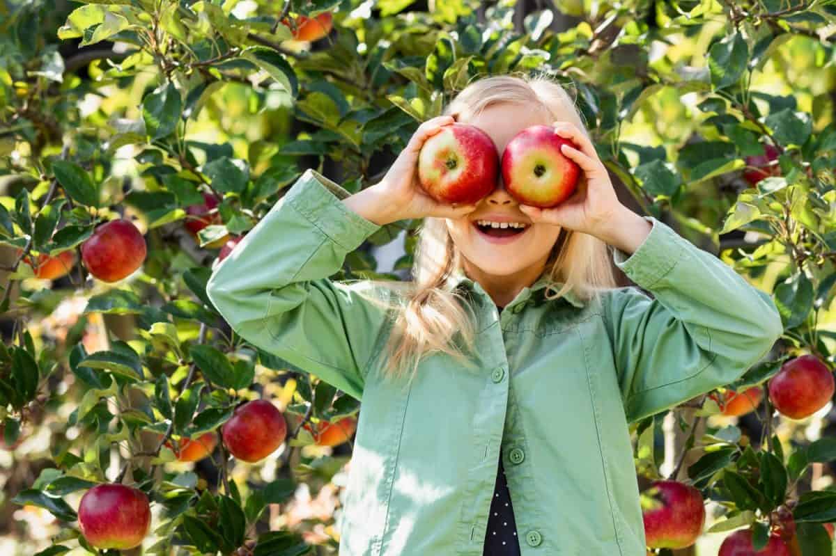 Prepare for Fall With This Complete Guide to Apple Picking