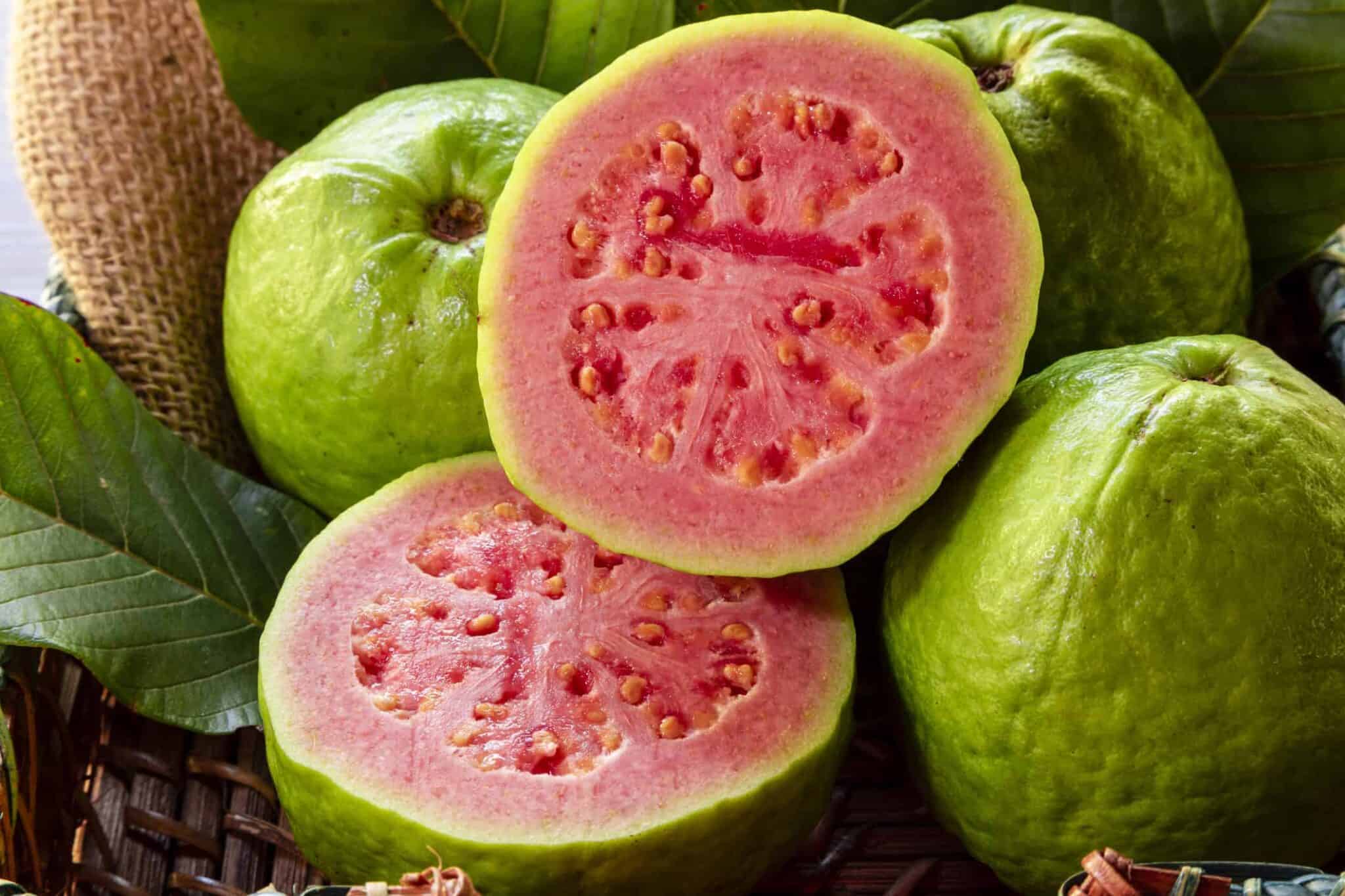 These 10 Fruits Have More Protein Than You Might Think