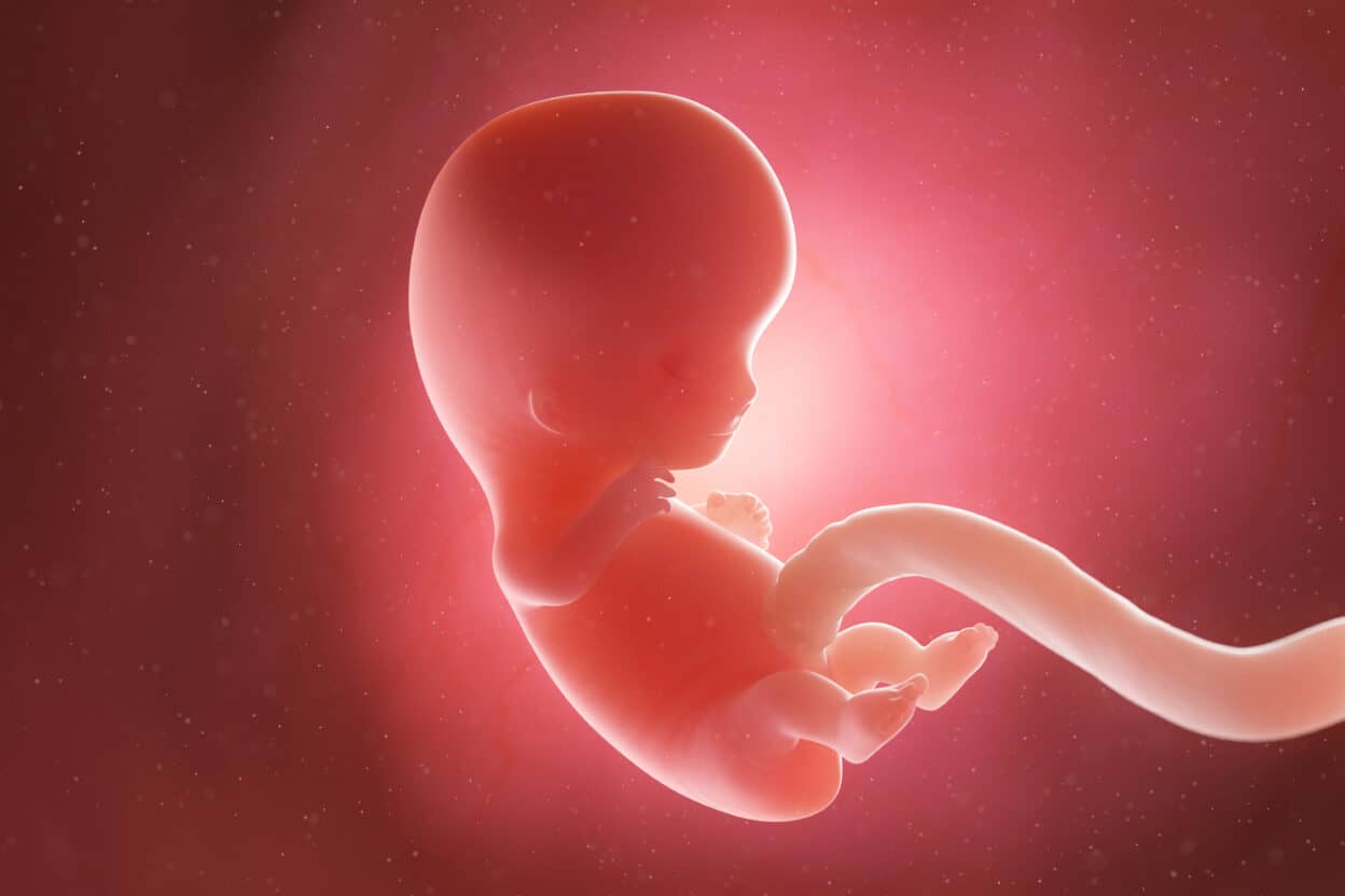 Parenting Advice for Moms Who Think - MomsWhoThink.com
