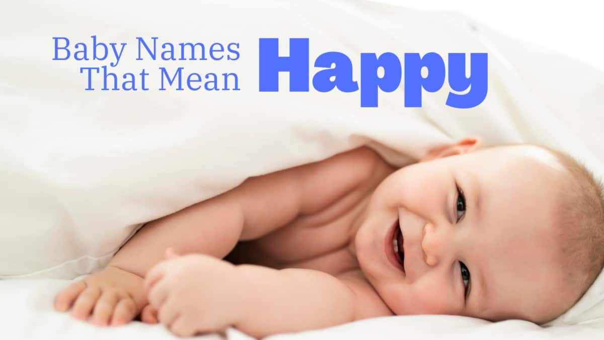 Shay Name Meaning & Origin | Middle Names for Shay