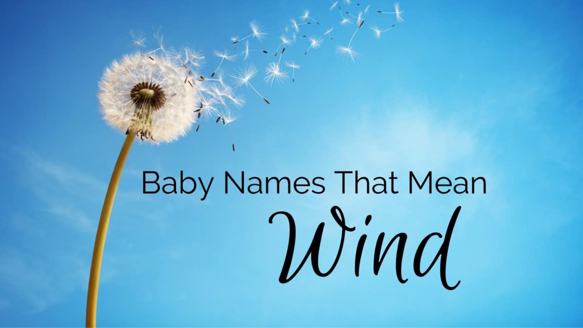 Zephyr Name Meaning & Origin | Middle Names for Zephyr