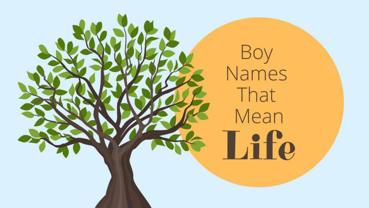 Avyaan Name Meaning & Origin | Middle Names for Avyaan