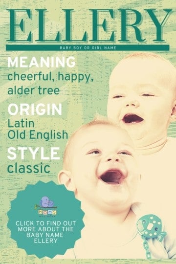 Ellery Name Meaning & Origin | Middle Names for Ellery