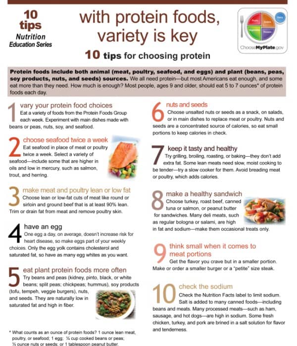 What Do MyPlate Guidelines Say About Grains?