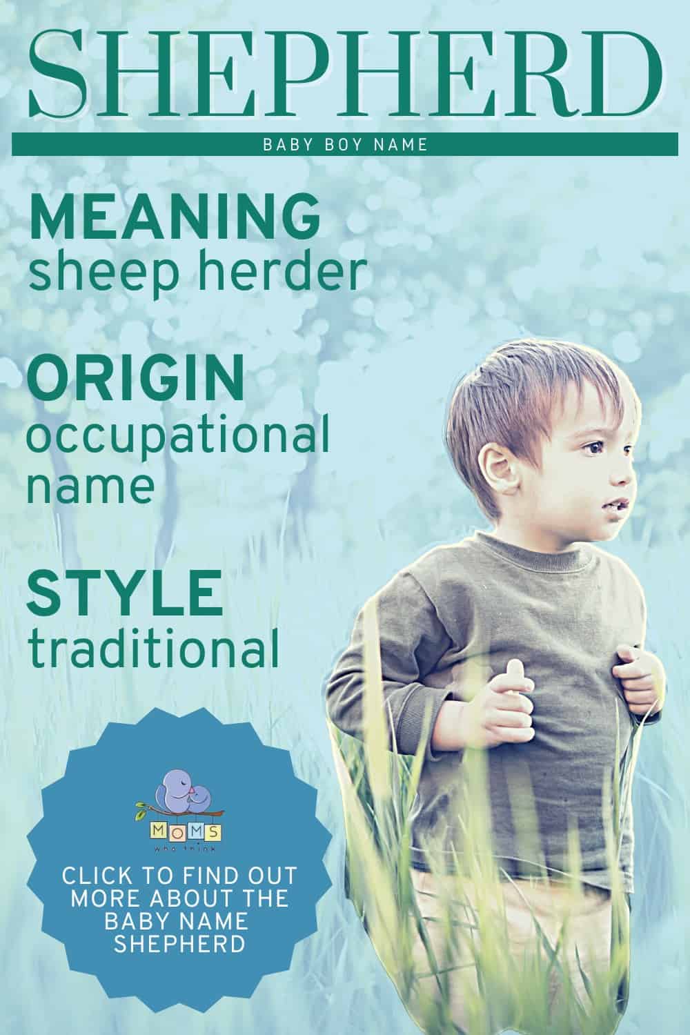 Shepherd Name Meaning Origin Middle Names For Shepherd Shepherd Name Meaning Origin Middle Names For Shepherd