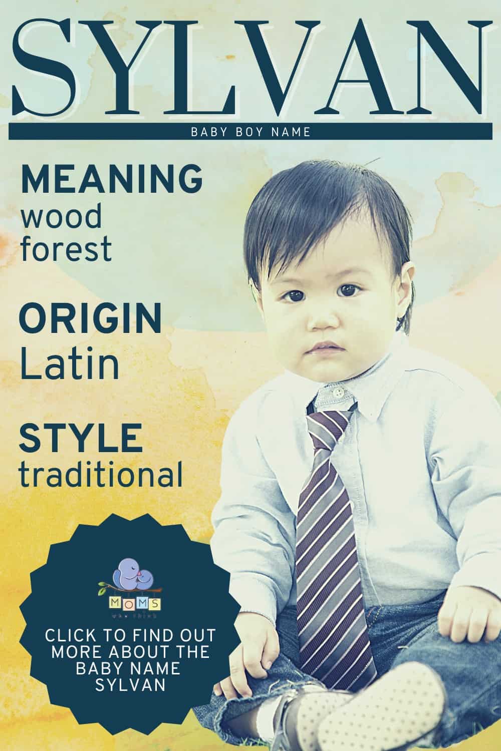 Sylvan Name Meaning & Origin | Middle Names for Sylvan