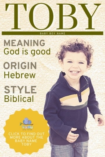 Toby Name Meaning & Origin | Middle Names for Toby