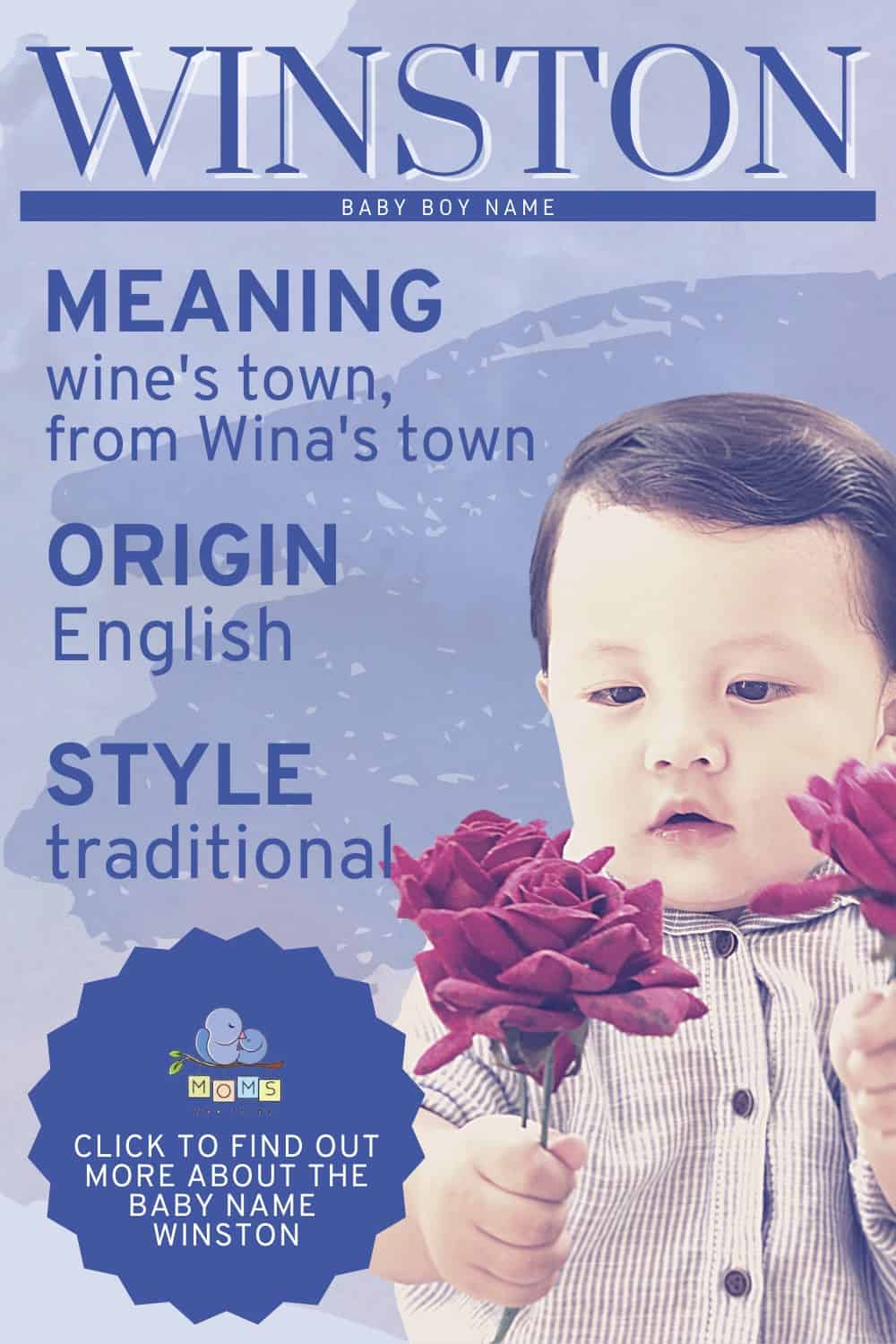 Winston Name Meaning & Origin | Middle Names for Winston