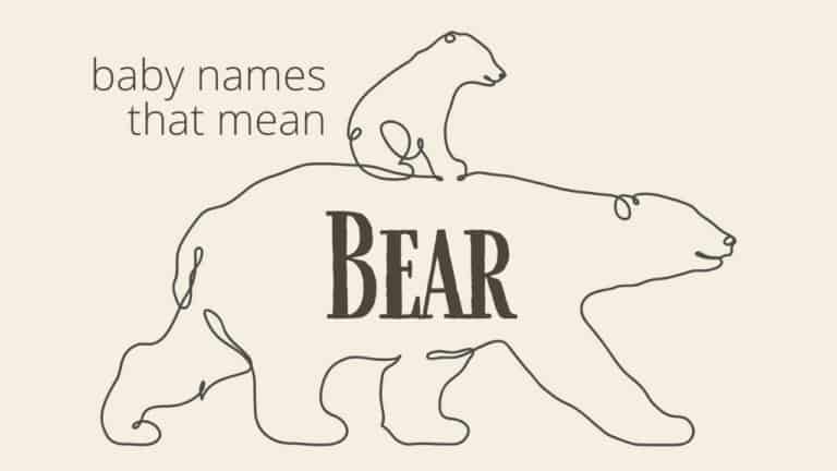 Baby Names That Mean Bear | MomsWhoThink.com