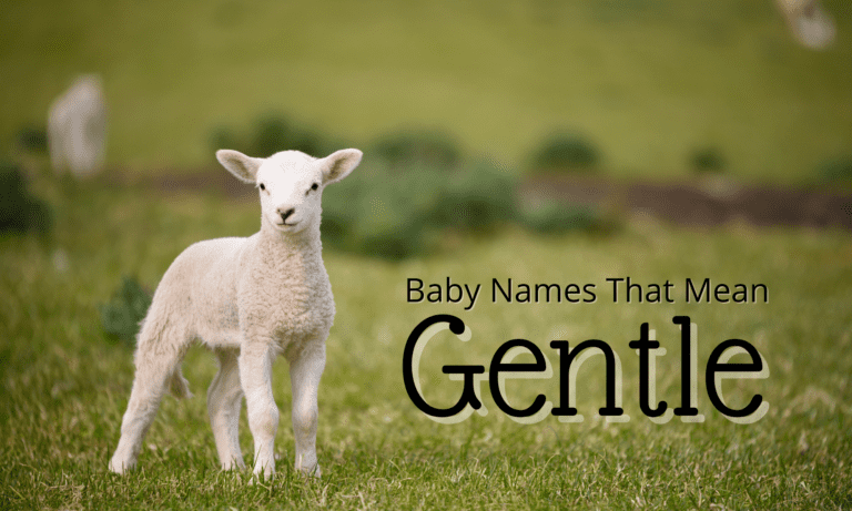 Boy Names That Mean Kind | MomsWhoThink.com