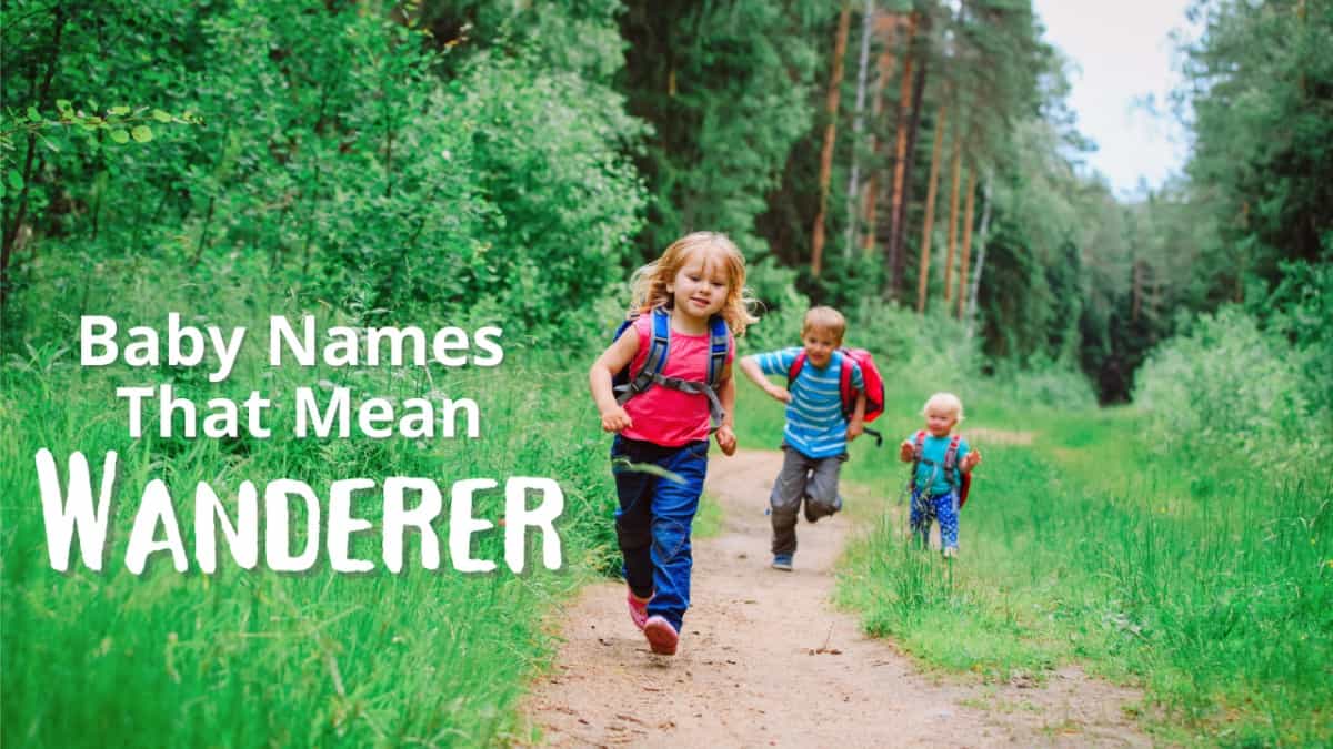 Jabari Name Meaning & Origin | Middle Names for Jabari