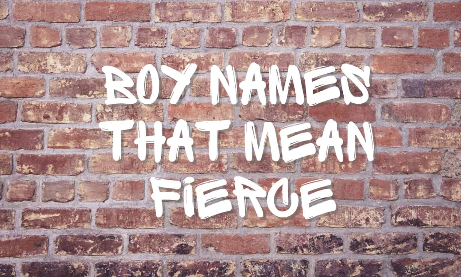 Boy Names That Mean Fierce MomsWhoThink Boy Names That Mean Fierce MomsWhoThink