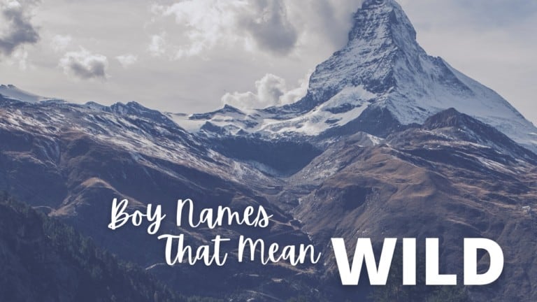 Boy Names That Mean Wild | MomsWhoThink.com